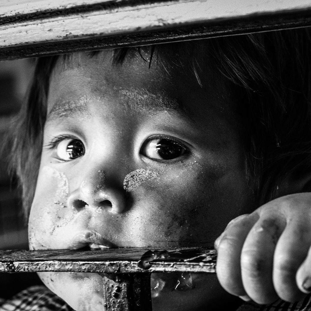 Peter Nicolacopoulos (@FenixImages) | Twitter