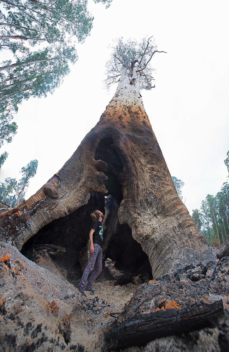 Sam Knott (@samknott42) | Twitter