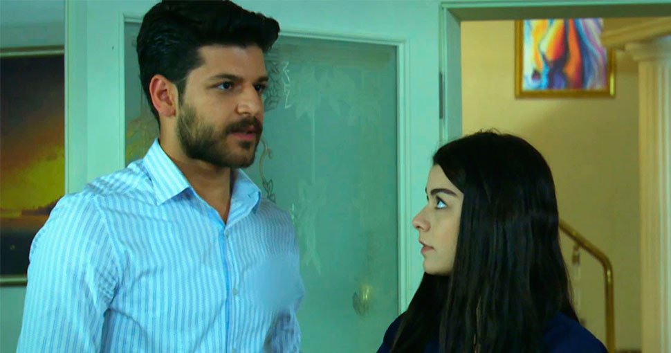 Elif Capítulo 175: ¿Podrá formalizarse la relación entre Selim y Zeynep ...