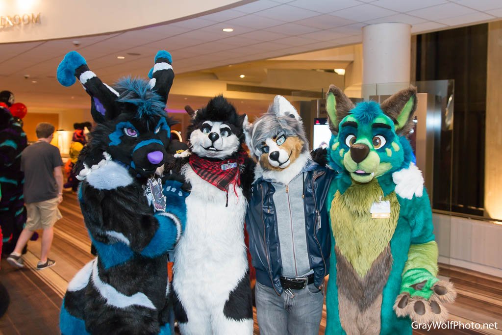 Mori Mutt@FurTheMore (@MoriMutt) | Twitter