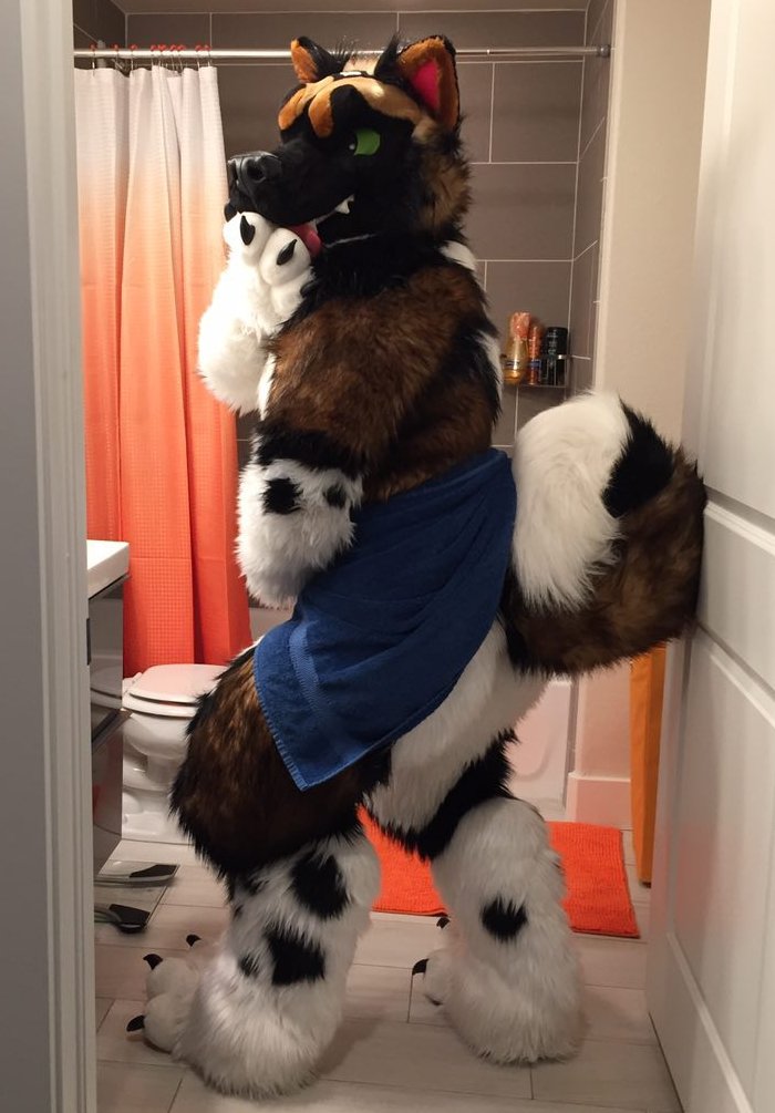 Mori Mutt@FurTheMore (@MoriMutt) | Twitter