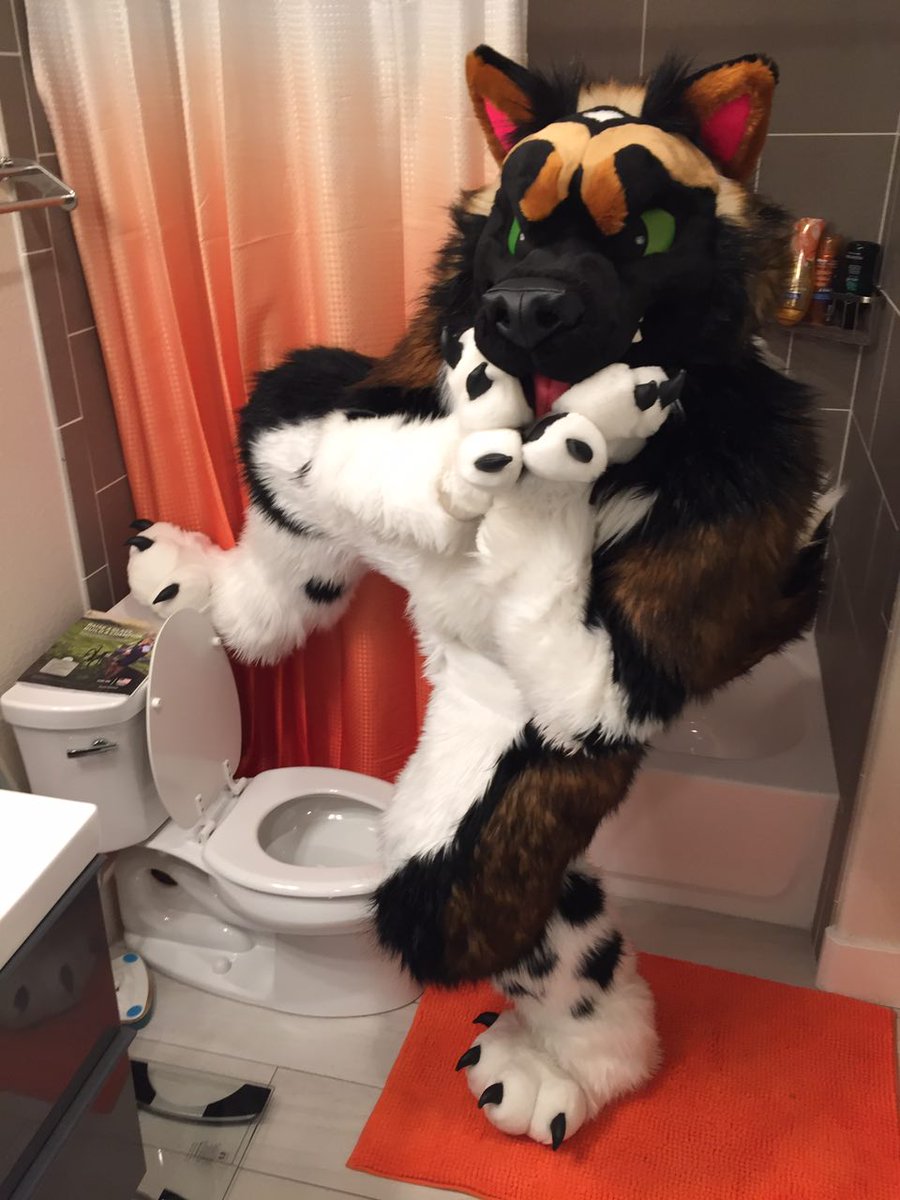 Mori Mutt@FurTheMore (@MoriMutt) | Twitter