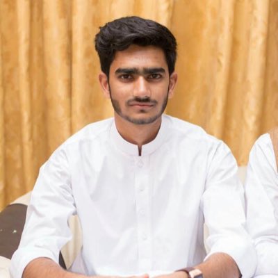 Malik Ameer Hamza (@rebilliousameer) | Twitter