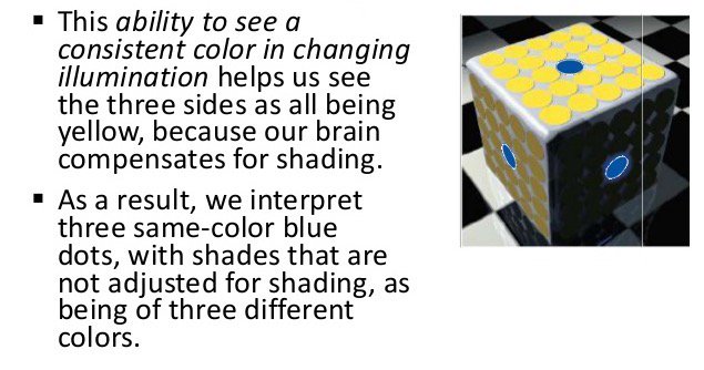 Color Constancy Psychology