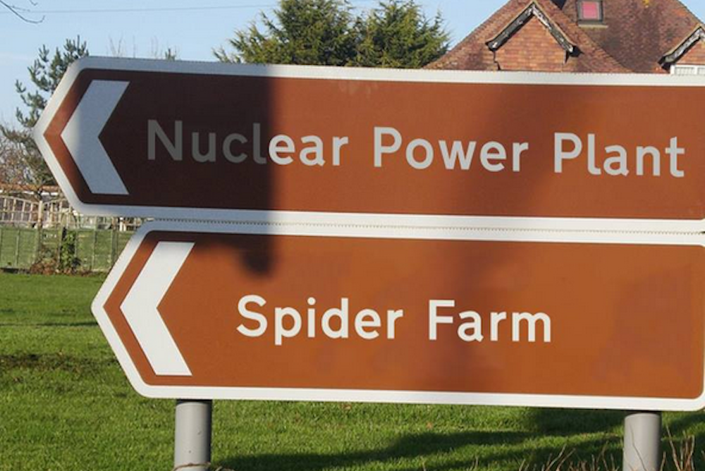 The internet is claiming that there’s a spider farm next to a nuclear ...