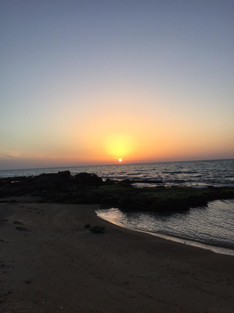 Yael Feldman (@Yael_feldman) | Twitter