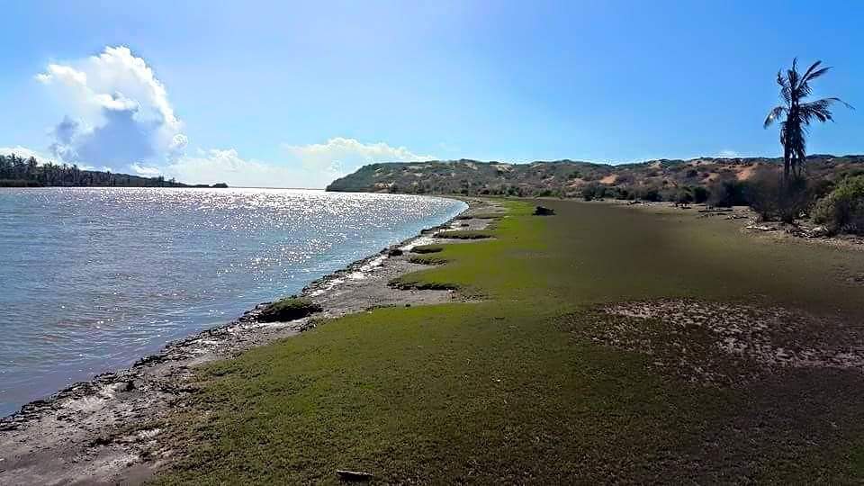 New Goobweyn Port. - SomaliNet Forums