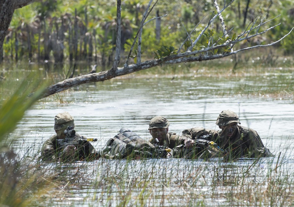 Jungle warfare: A Coy, 2nd Battalion The Princess of Wales’s Royal Regt ...