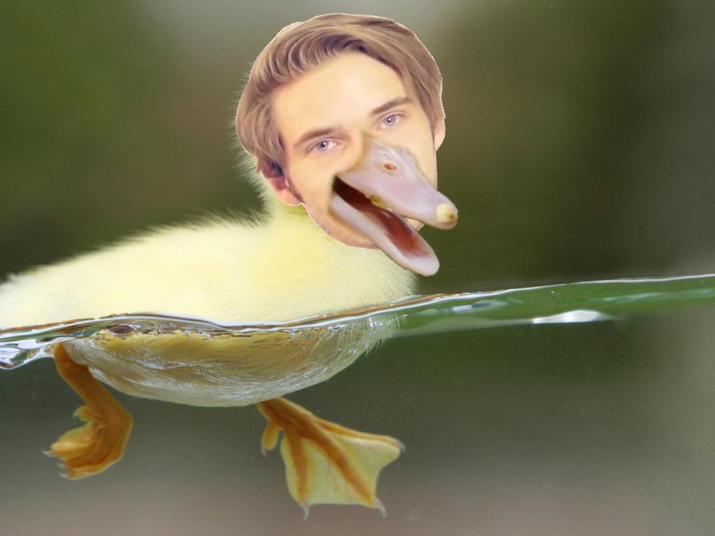 Pewdiepie Is A Duck