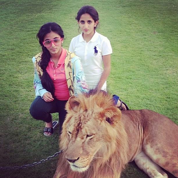 Sheikha Shamma Bin Mohammed Bin Rashid Al Maktoum His Highness Sheikh