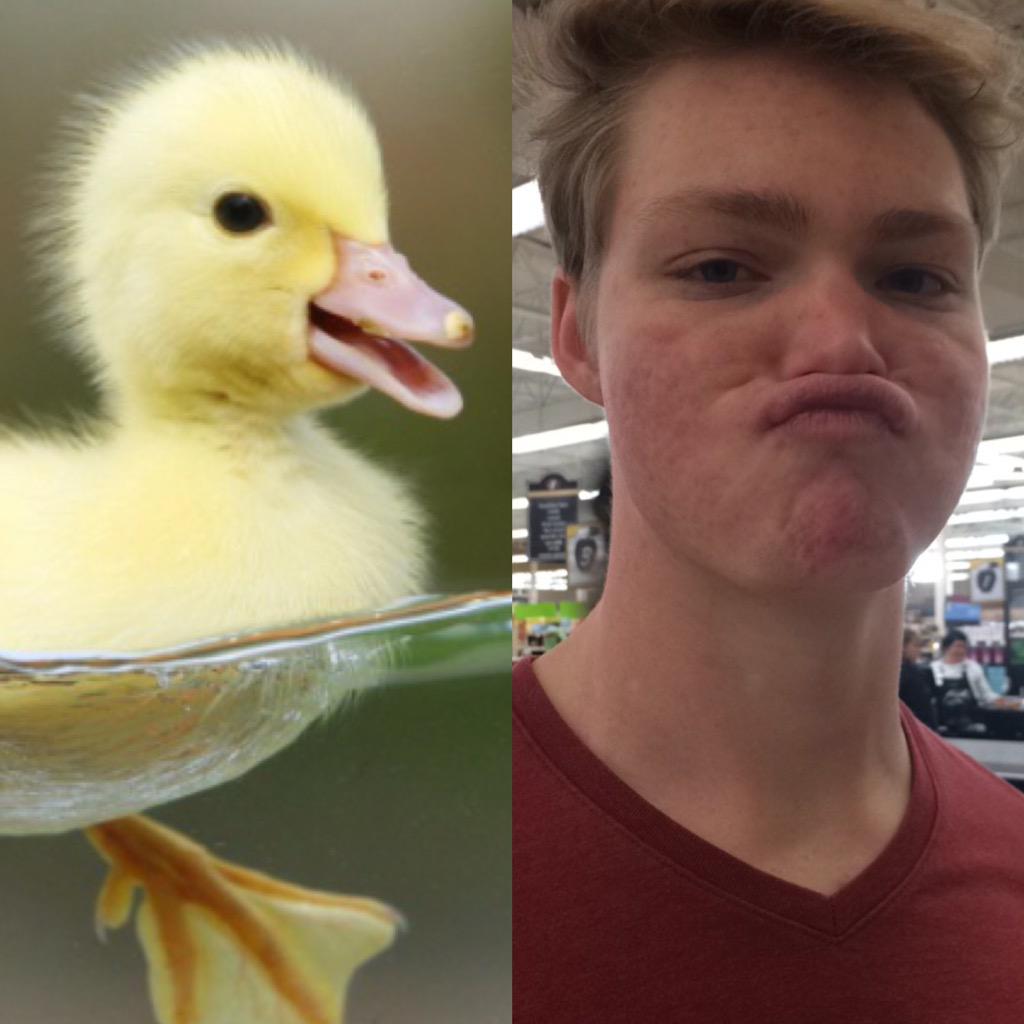 Caleb Sheets (@calebdsheets) | Twitter