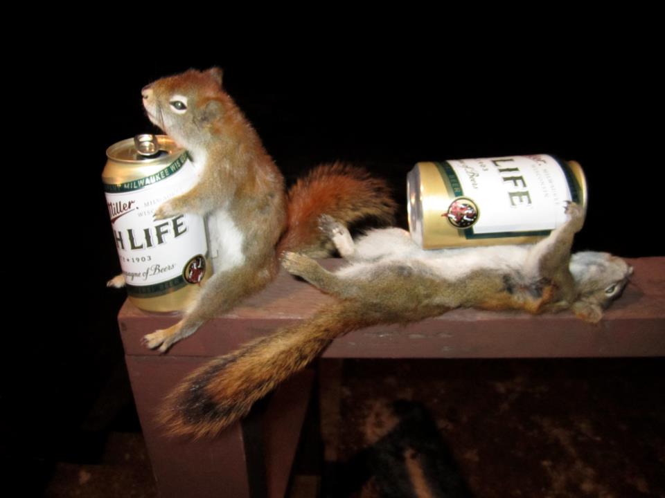 Drunk Animals