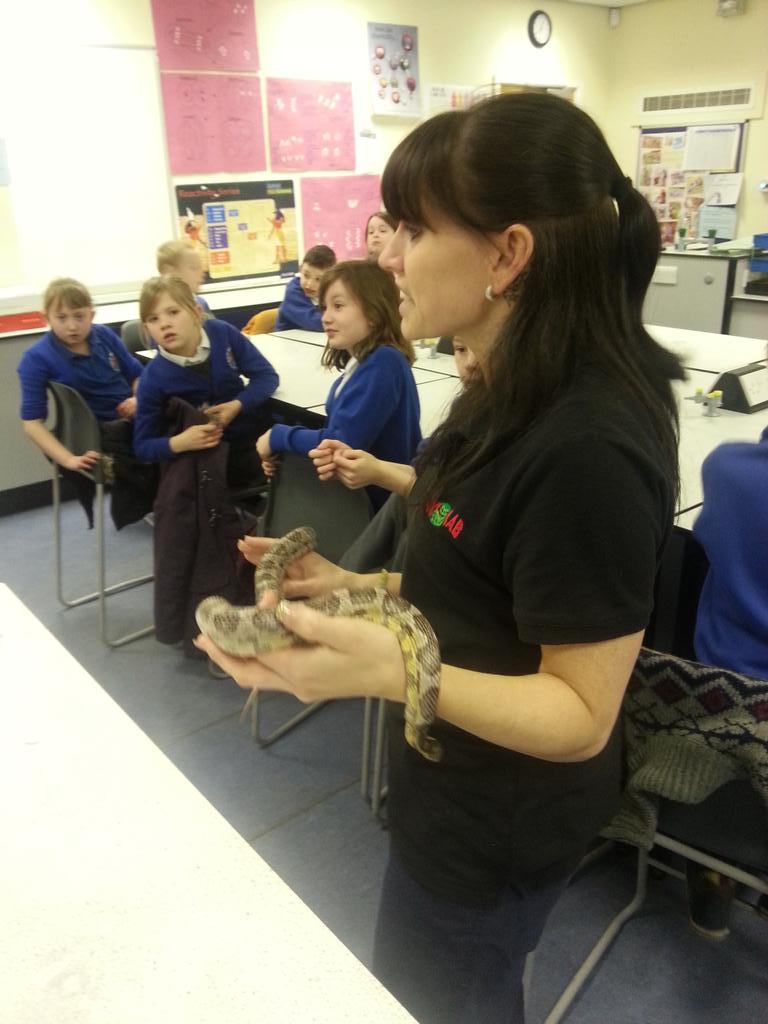 CHS Science on Twitter: "Very excited Year 4's from Burnley Rd Academy with Zoolab. http://t.co ...