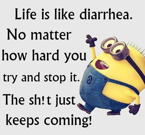 Minion Poop Quotes