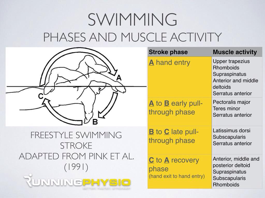 Stroke Swimming Diagram