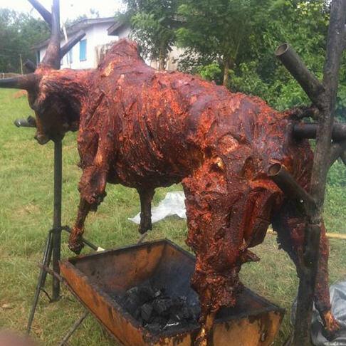 Cow Bbq