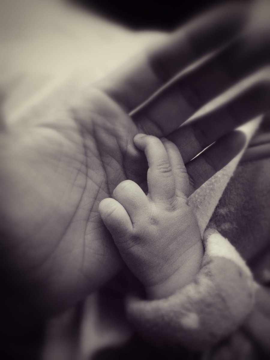 Danny Aguillon (@DannyAguillon84) | Twitter