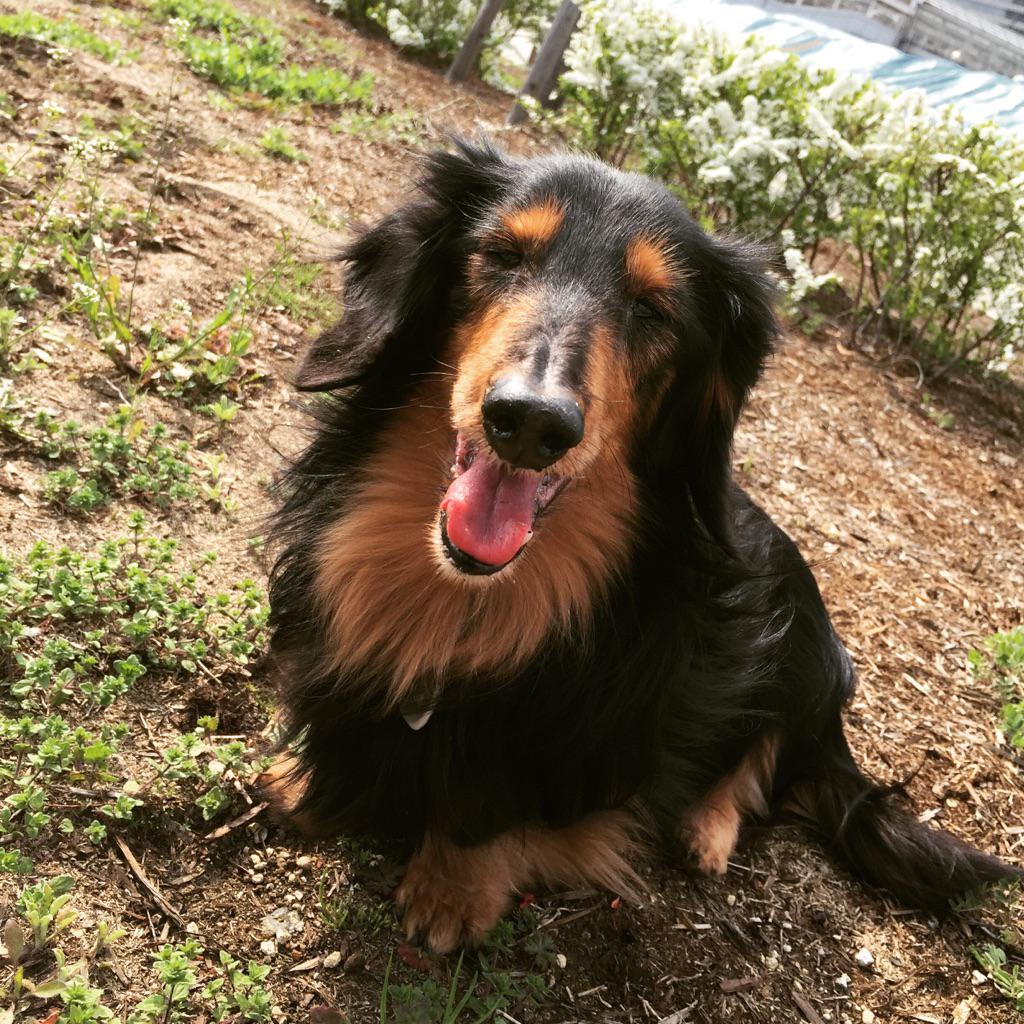 voiceplus (@voiceplus_) | Twitter