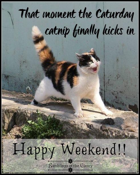 Have A Great Weekend Cat