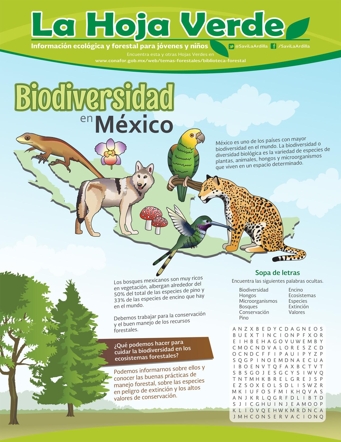 Que Es La Biodiversidad En Mexico Para Niños | Latino news