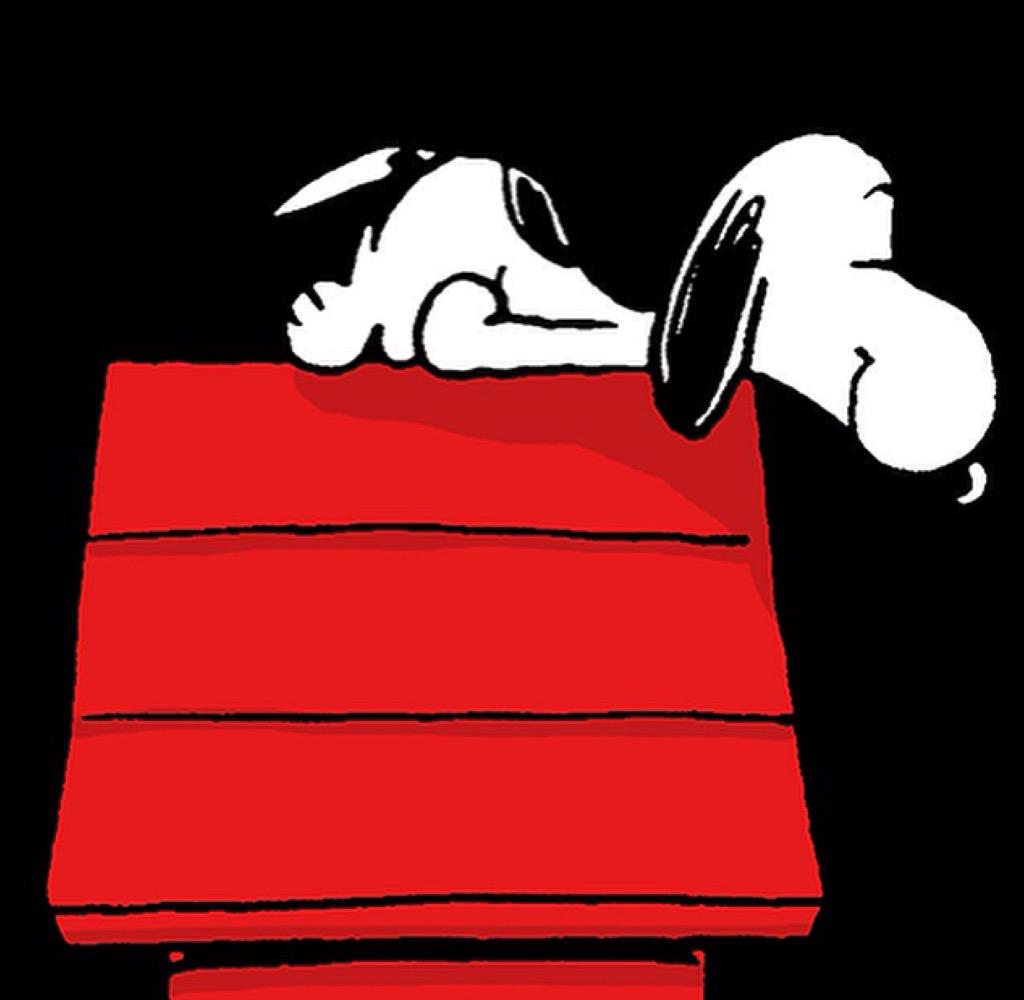 Sleeping Snoopy On Doghouse