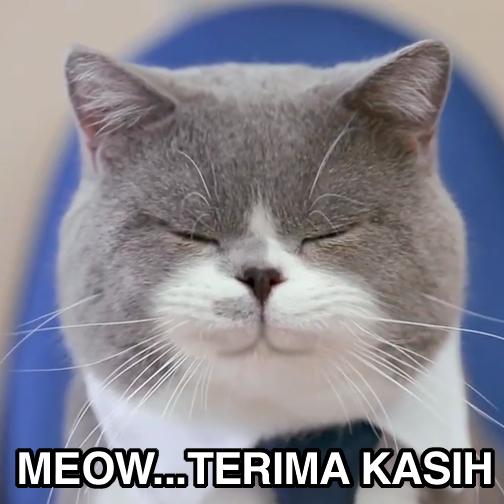 Ciri-ciri Fisik Si Kucing Persia yang Anggun dan Perawatannya - kasih ...