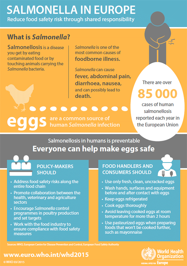 Eggs are a common source of human Salmonella infection. Find out how to ...