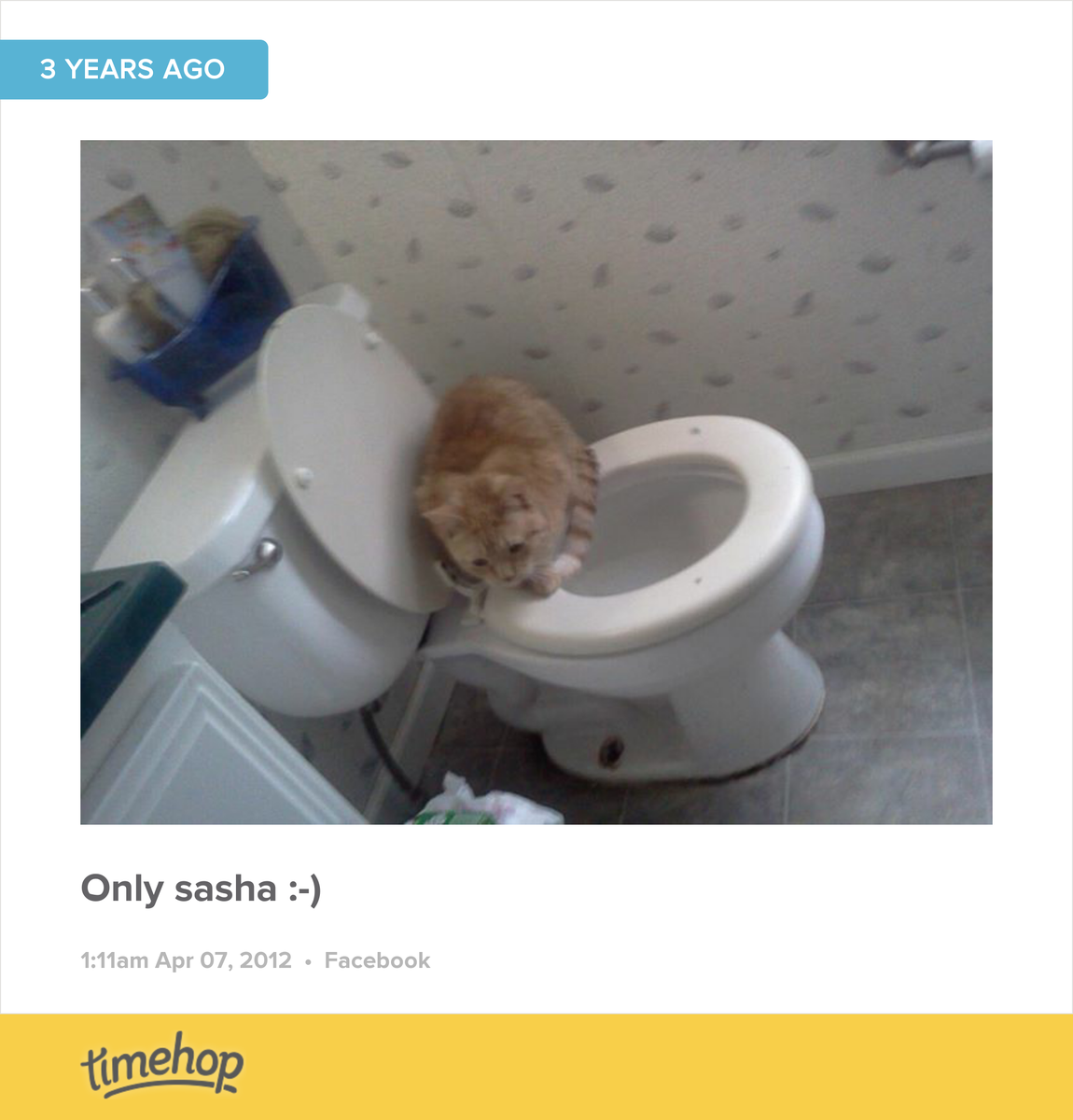 Sean Goodspeed (@ChuThePromoter) | Twitter