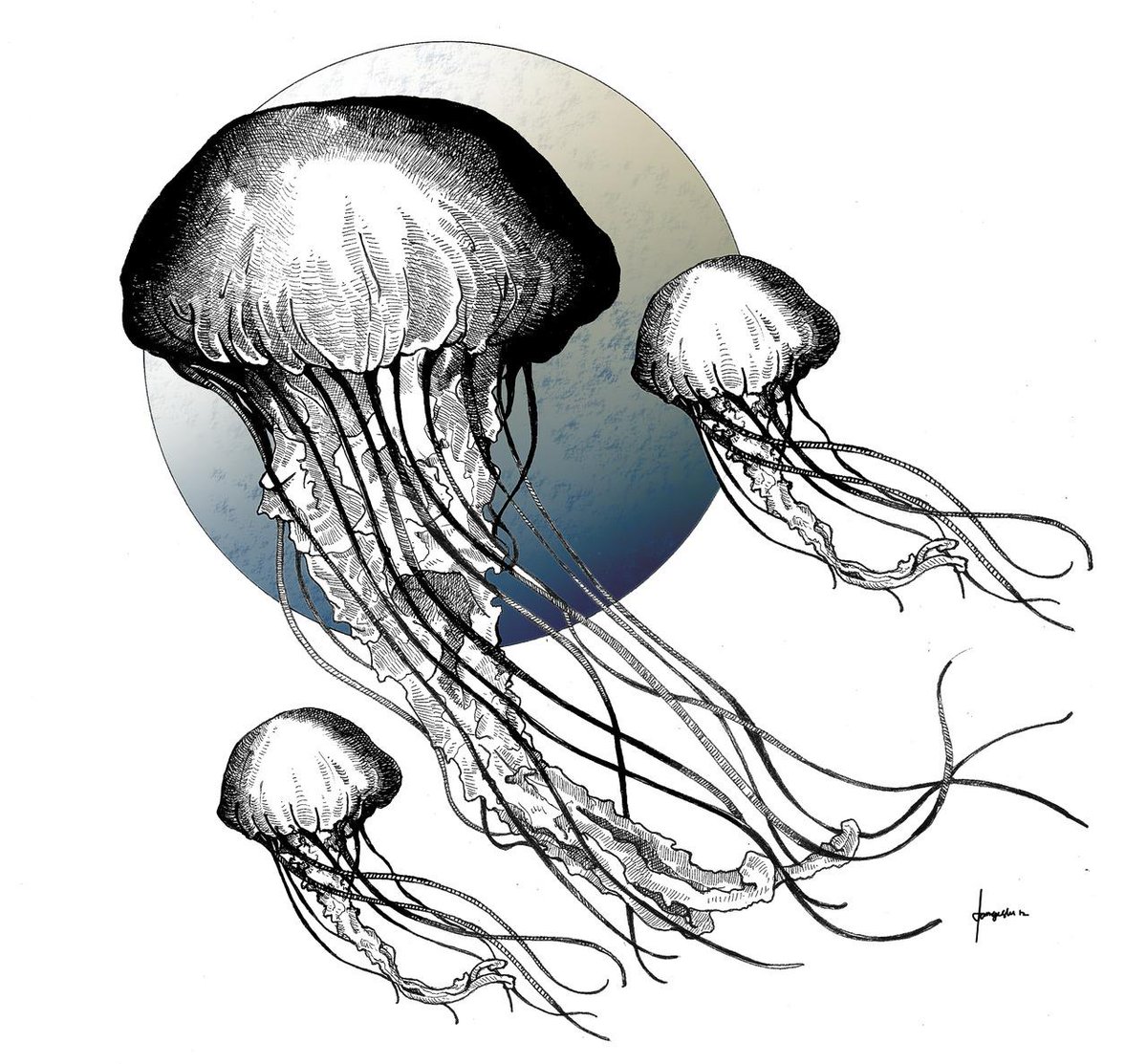 Corporate Pixie (@CorporatePixie) | Twitter