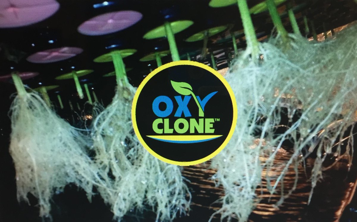 oxyCLONE (@oxyCLONE) | Twitter