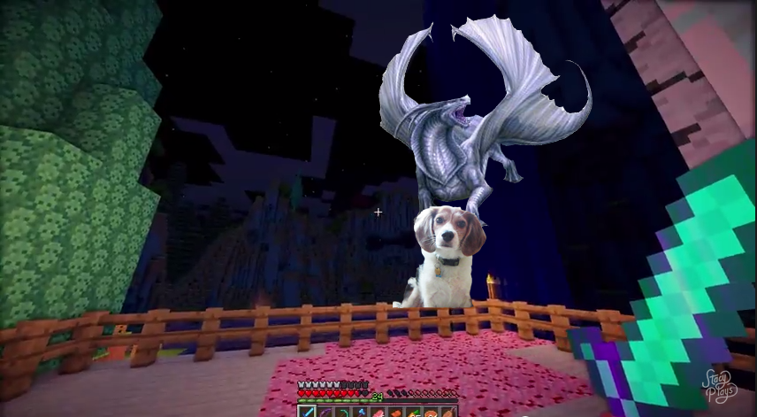 Dog Craft Minecraft