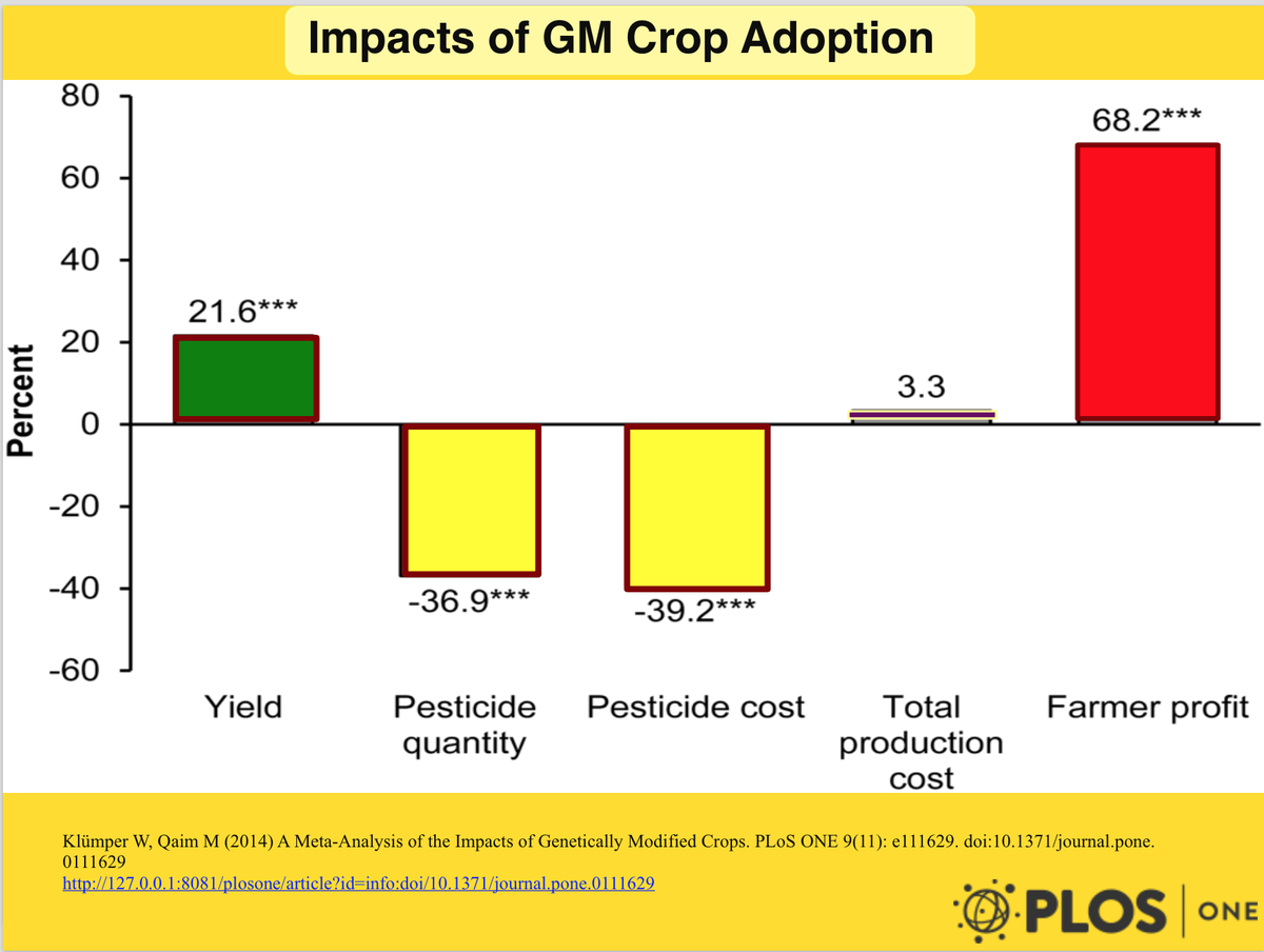 Golden Rice Now | twtrland