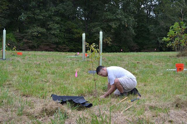 Dan Ensor (@chukensor) | Twitter