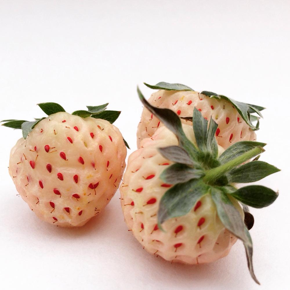 Pineberry Cut In Half