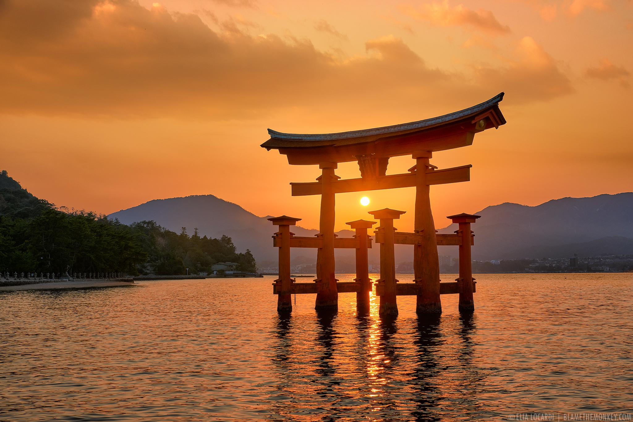 Shinto Gate Sunset