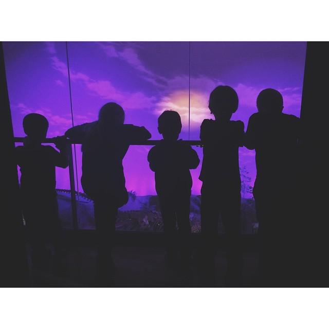 Dinosphere | The Children's Museum of Indianapolis