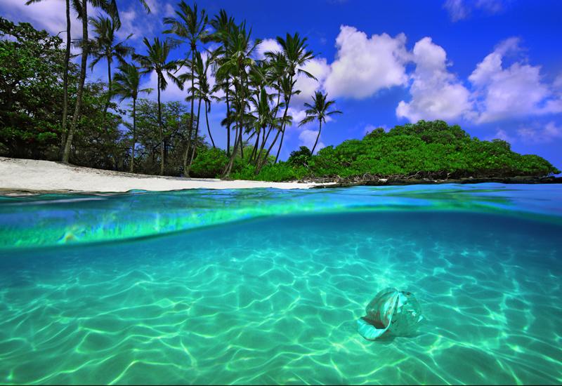 Half Submerged Camera