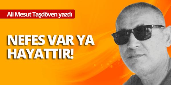 Ece (@Ece_Aslan_) | Twitter