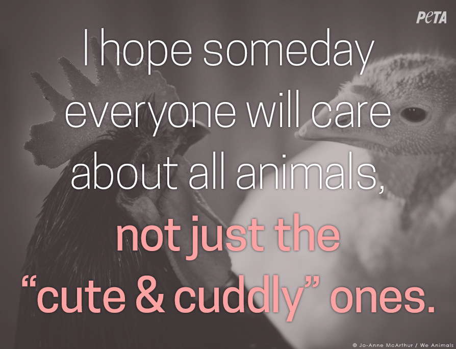 Peta Quotes Animal Rights