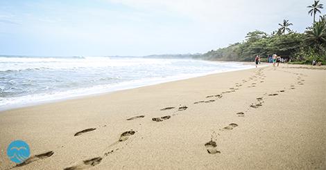 Bridget Fields (@Bridginator) | Twitter