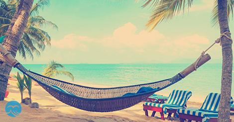 Bridget Fields (@Bridginator) | Twitter