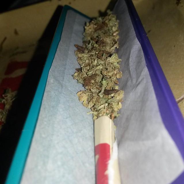 Weed Blunts Instagram
