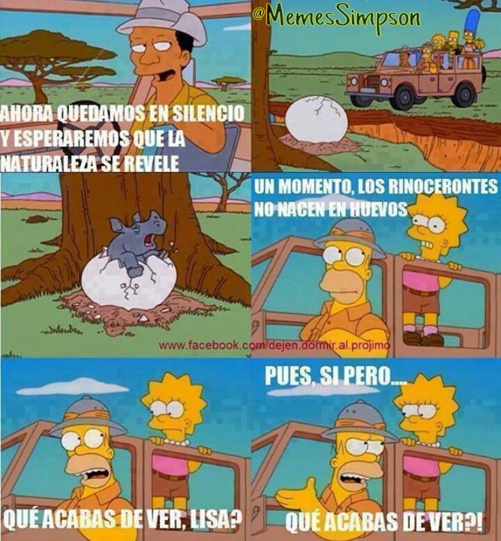 Memes De Los Simpson