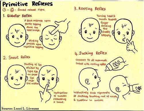 Rooting Reflex