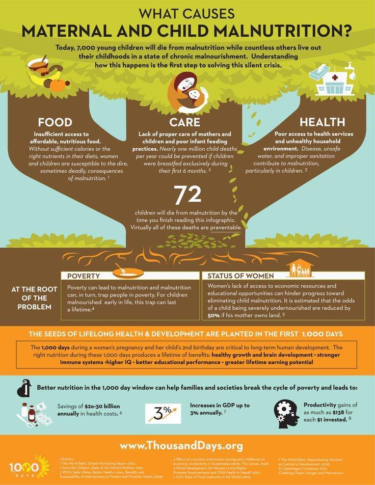 World Hunger Infographic