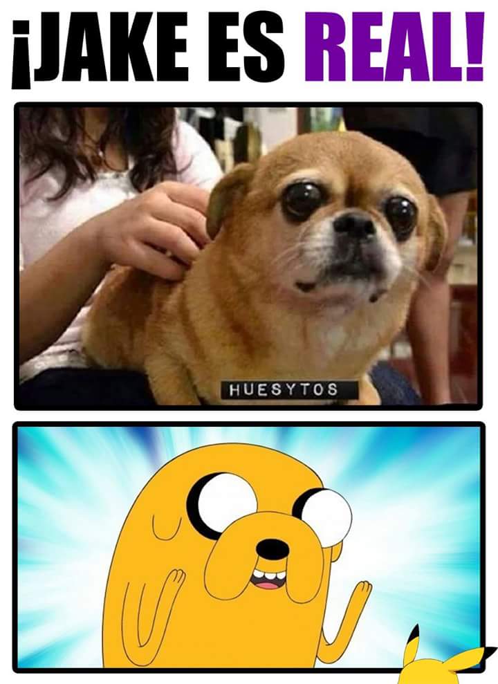 Jake The Dog Meme