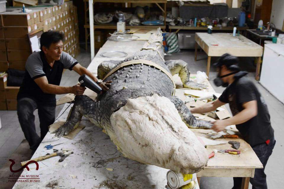Lolong Taxidermy