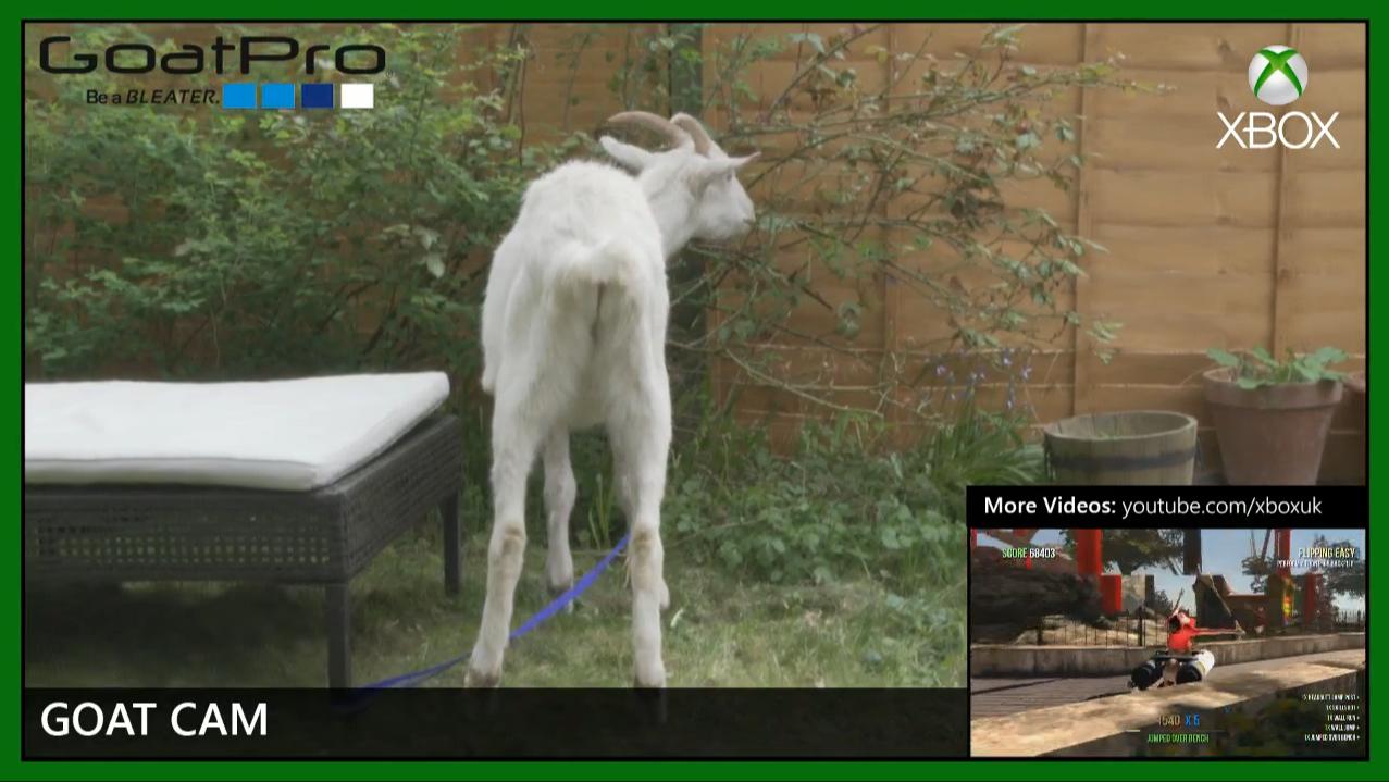 All Simulator Goat Goats