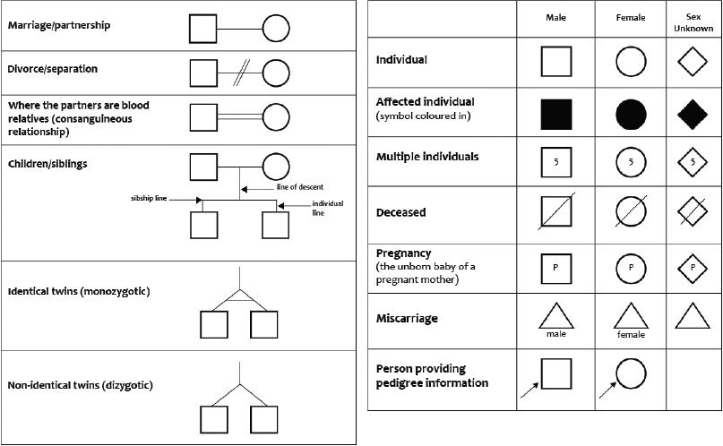 Genetic Pedigree Symbols