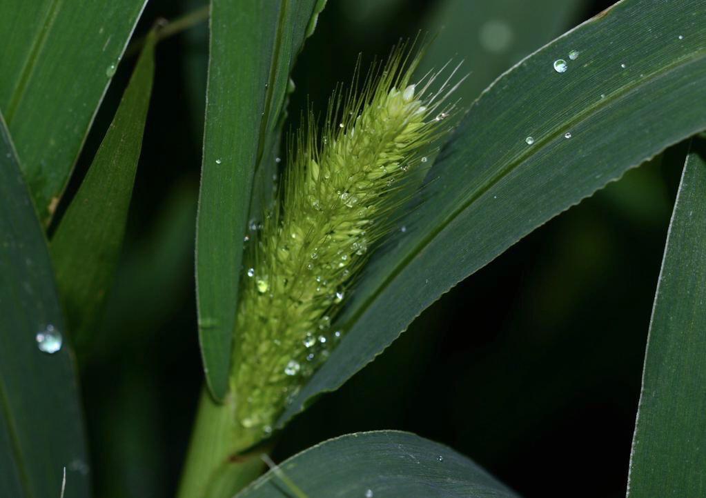 Altan Suvd (@altan_suvd) | Twitter